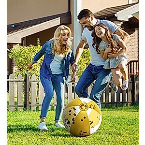 POZA Inflatable Large Beach Ball – Pool Accessory Glitter Confetti 16 Inch Premium Beach Theme Water Sand Toy Favors for Beach Party Decorations Pool Party Supplies Beach Balls – Set of 2 (Gold)