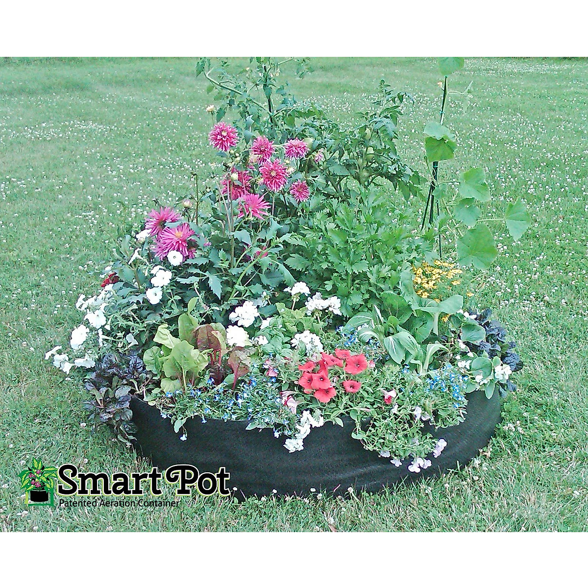 Smart Pot 100511247 Big Bag Fabric Raised Bed, Original, Black