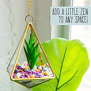 STMT D.I.Y. Crystal Terrarium, Terrarium Kit, DIY Terrarium Kit, Kids Terrarium Kit, Craft Kit, Terrarium Kit for Kids, Arts and Crafts for Kids, Gifts for Kids, Little Girl Gifts, Ages 8+