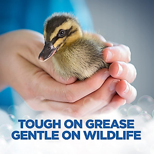 Dawn Free & Clear Dishwashing Liquid Dish Soap (3x24 oz) + Dawn Non-Scratch Scrubber Sponge (2 Count), Lemon Essence