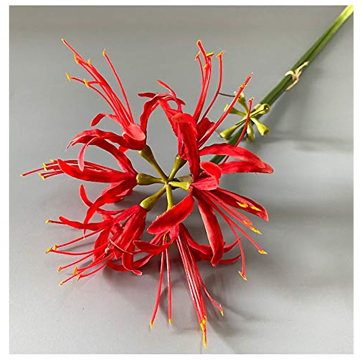 Qingriver 4 Stems 26.38'' Artificial Spider Lily Flowers Lycoris Radiata for Home Garden Decoration Red