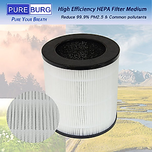 PUREBURG Replacement True HEPA Filters Compatible with Hisense KJ120 Air Purifier APKIT-20F / Enther AP1C Air Purifier APF1C,2-Pack