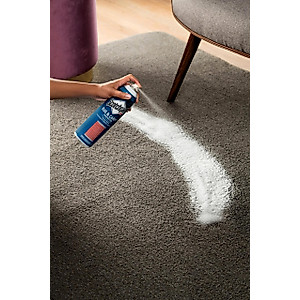 Scotchgard Rug & Carpet Protector, 17 Ounces, Blocks Stains, Makes Cleanup Easier