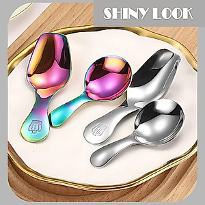 Dessert Spoon Stainless Steel Salt Spoon Short Handle Spoons Coffee Scoop Mini Spoons for Jars, Tea, Sugar, Honey, Spice, Ice Cream, Milk Powder