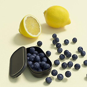 Bentoheaven Bento Box Replacement Spare Parts