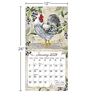 WSBL Roosters 2024 12X12 Wall Calendar (24997001691)