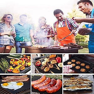 YFeiQi Reusable Non Stick Barbecue Accessories, 13"x16, high Temperature Resistant, Easy to Clean, Barbecue mat Outdoor Baking mat Outdoor Picnic Cooking Barbecue Oven Tool (1PCS)