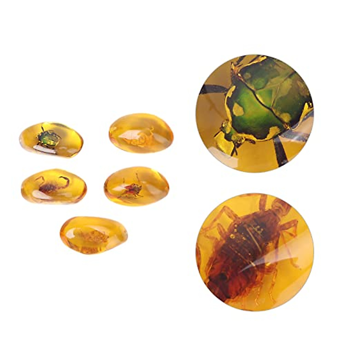 FOMIYES 5pcs Amber Fossil Artificial Amber Samples Stones Crystal Specimens Collection Pendant (Random Pattern)