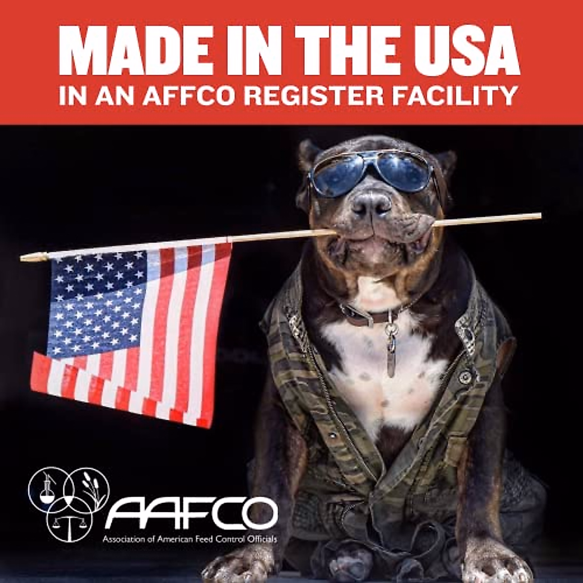 Dog Vitamins Total Health Dog Chews by Bully Max | Puppy and Adult Dog Omega 3 Supplement | Health and Immunity Vitality Chews | Performance Series Muscle Builder for All Breeds | 75 Chews per Bag