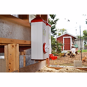 RentACoop 2 Gallon Chicken Waterer with Auto-Fill Cups, Horizontal Nipples, Anti-Roost Cone and Mounting Kit - Suitable for Chickens, Quail, Ducks, Geese, Turkey and More