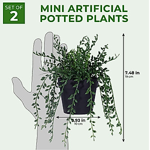 HUANGXIN Fake Plants Artificial Succulents Planters Realistic Faux Plant Mini Potted String of Pearls for Home Garden Office Decor