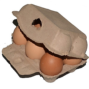 Happyyami 20pcs Egg Cartons Egg Tray Holder 6 Count Eggs Keeper Egg Bulk Container for Family Farm Market Camping Picnic Travel