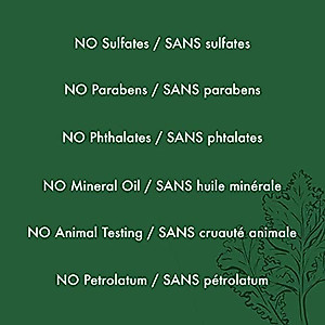 SHEA MOISTURE Moringa Avocado Power Greens Conditioner, 13 FZ