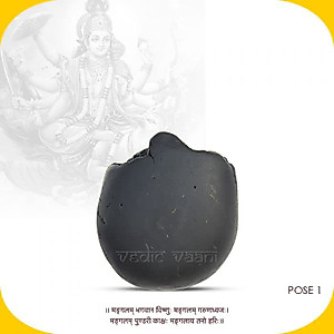 Vedic Vaani Garuda Vishnu Shaligram Shila (Pack of 4)