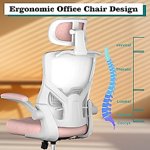 Ergonomic Office Chair, High Back Mesh Desk Chair with Molded Foam Cushion, Adjustable Headrest, Lumbar Support, Lock Function (Petal Pink)