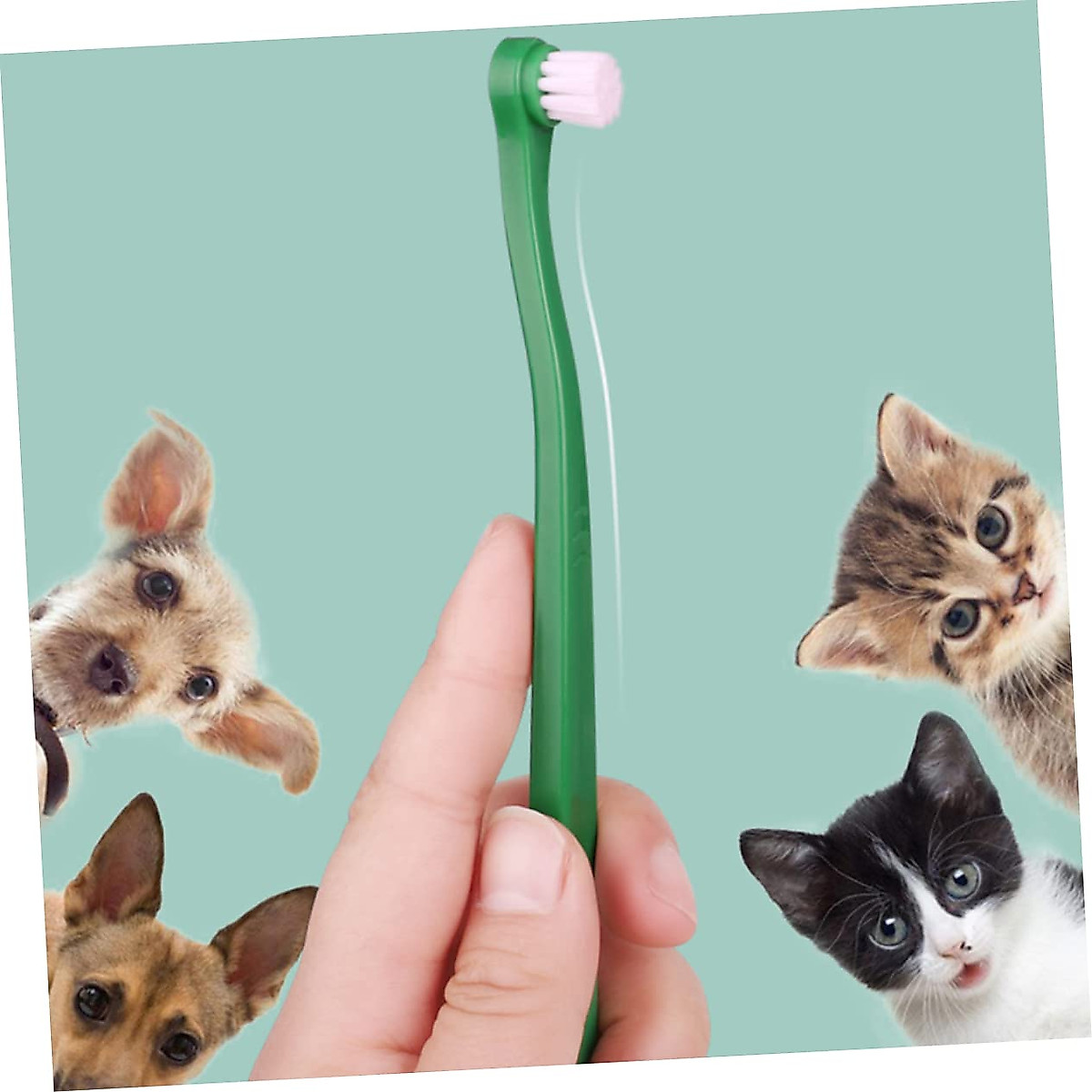 FOMIYES 8 Pcs Pet Toothbrush Dog Self Cat Toothbrush Cleaning Playset Small Head Toothbrush Gentle Dog Brush Kitten Toys Dog Teeth Cleaning Tools Wash Cleaning Kit TPE Manual