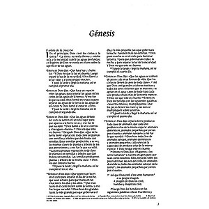 Personalized Bible Custom Text Your Name Santa Biblia NTV Edición Zíper SentiPiel Ladrillo Custom Made Gift for Baptisms Christenings Birthdays Celebrations Holidays