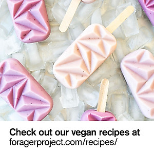 Forager Project Cashewmilk Yogurt, Strawberry, 5.3-Ounce