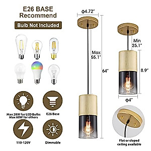 LINSEEDS Pendant Light Fixtures, Black and Gold Adjustable Modern Pendant Lights for Kitchen Island, Industrial Glass Pendant Lights for Dining Table Hallway Bedroom Living Room,1 Pack