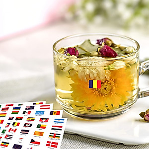 BENBO 384Pcs World Flag Stickers Flag Stickers Country Sticker Country Flags of The World Sticker 192 Countries Flag Stickers for School, Journal, Scrapbook