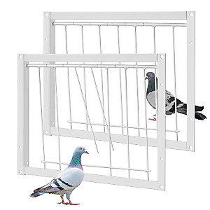 Suzile 2 Pcs 11.81" x 10.24" Pigeon Cage Door Bird Wire One Way Entrance Door Iron Pigeon Trap Door Bird House Door for Racing Supply Birdcage Breeding, White