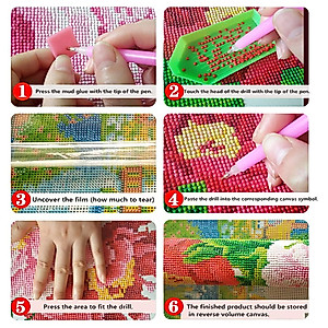 Hibah Diamond Painting DIY 5D Special Shape Rhinestone, Owl, Partial Diamond Crystal Diamond Painting Set (Mandala)