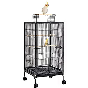 36.5-Inch Elegant Sturdy Wrought Iron Bird Flight Open Play Top Cage with Rolling Casters for Small-Sized Parrot Parakeets Cockatiels Budgies Parrotlets Lovebirds Canary