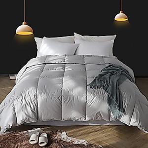 KASENTEX California King Size Down Comforters - All Season Down Comforter California King Size Down and Feather Filling - 100% Cotton Cover Duvet Insert - Stand-Alone Down Comforter, Light Grey