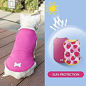 KYEESE 2 Pack Dog Shirt for Medium Dogs Breathable Lightweight Dog T-Shirts with Reflective Label Tank Top Great for Summer Sleeveless Vest Dog Apparel Strawberry Pattern, 2L, Strawberry+Rose
