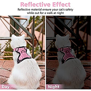 Dooradar Cat Harness and Leash Set, Escape Proof Safe Adjustable Kitten Vest Harnesses for Walking, Easy Control Soft Breathable Mesh Jacket with Reflective Strips for Cats, Pink, XS