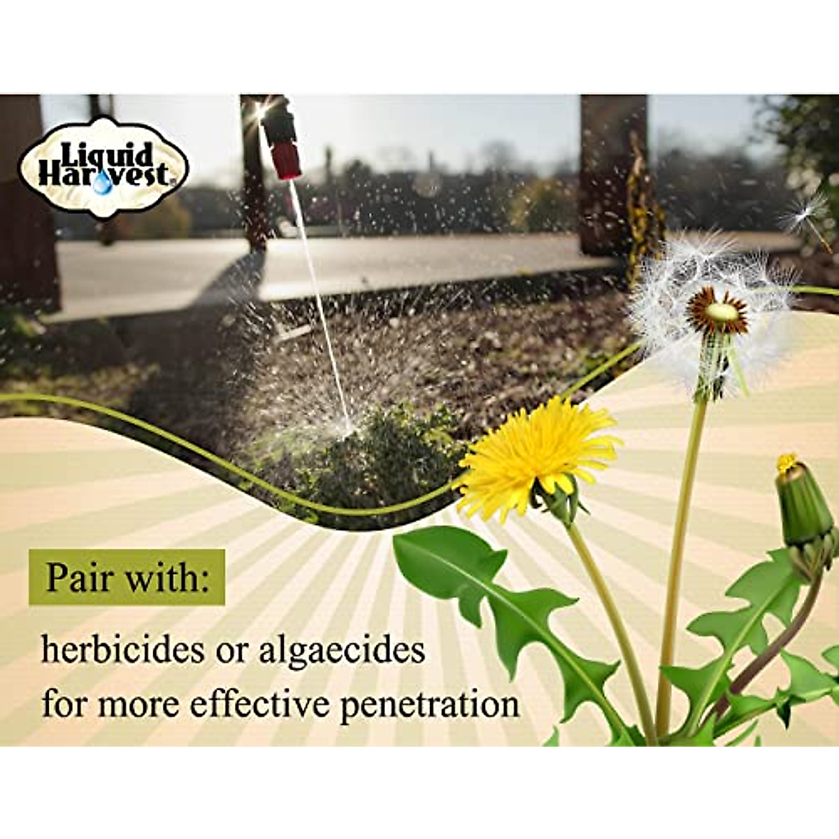 Concentrated Surfactant for Herbicides Non-Ionic 8oz, Increase Product Coverage, Increase Product Penetration, Increase Product Effectiveness