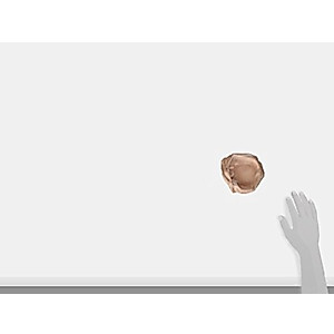 Zoo Med Reptile Rock Water Dish, Small