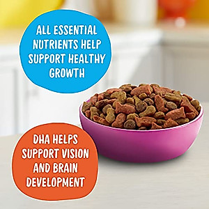 Meow Mix Kitten Li'L Nibbles Dry Cat Food, 3.15 Pound Bag (Pack of 4)