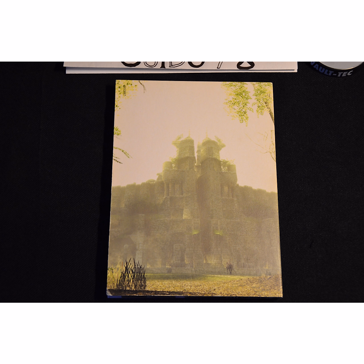 Shadow of the Colossus