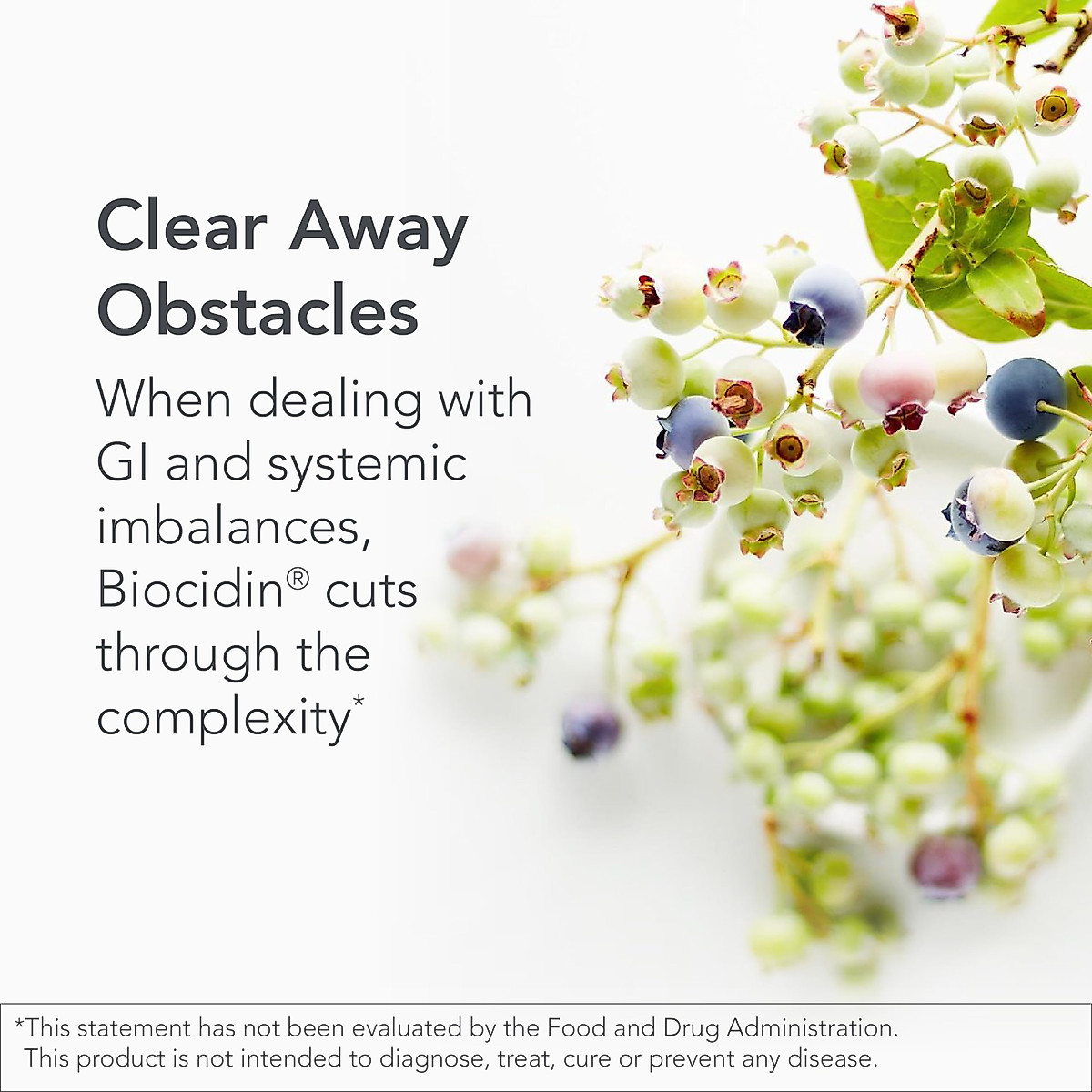 Biocidin Capsules - Gut Cleanse Process & Immune Support Supplement - Supportive Biofilm Disruptor - Promote Digestive Health & Microbial Balance - 18 Botanical Blend (90 Vegan Capsules)