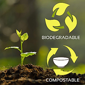 Stalkmarket 100% Compostable Natural Plant Fiber 5-Compartment Tray, 500-Count Case