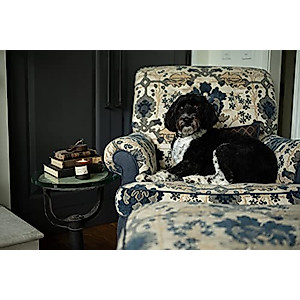 Paddywax Library Collection William Shakespeare Scented Soy Wax Candle, 6.5-Ounce, Paprus, Palm & Eucalyptus