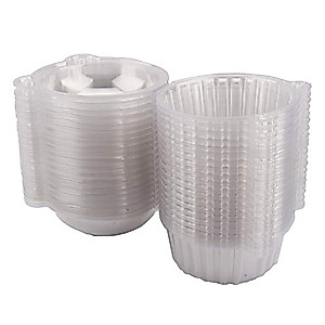 Yosoo Cupcake Containers 100Pcs Transparent PP Cups Single Muffin Cup Boxes Cakes Holder Patty Container Baking Carriers Single Cup Size 10 x 8cm / 3.94 x 3.15inch