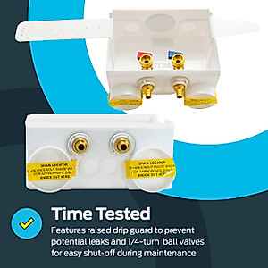 Eastman 1/2 Inch Expansion PEX Connection x 3/4 Inch MHT Washing Machine Outlet Box, Push to Connect Brass Plumbing Fittings, Double Drain, 60261