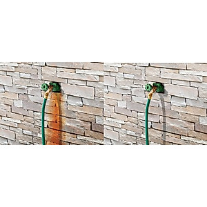 Iron OUT Powder Rust Stain Remover, Remove and Prevent Rust Stains in Bathrooms, Kitchens, Appliances, Laundry, and Outdoors, 9.5 Pound