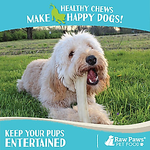 Raw Paws Compressed Rawhide Bones for Dogs, 12-inch, 2-ct - Packed in USA - For Large Dogs, Free-Range Compressed Rawhides for Dogs - Pressed Rawhide Bones - Rawhide Bones for Dogs - Dog Rawhide Chews