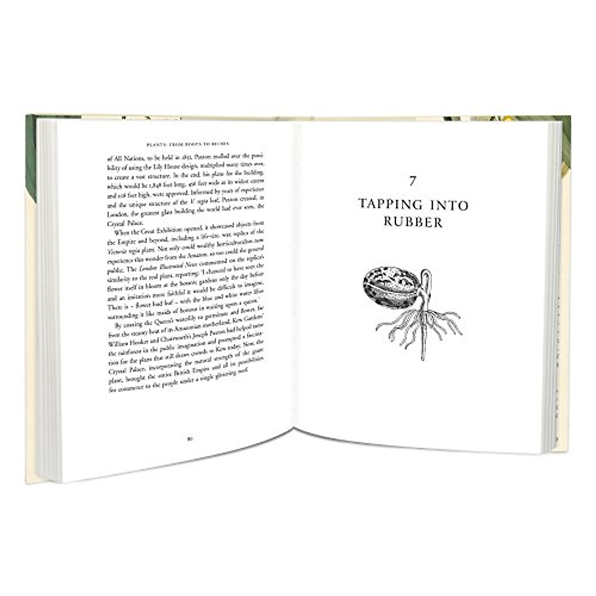 Plants: From Roots to Riches