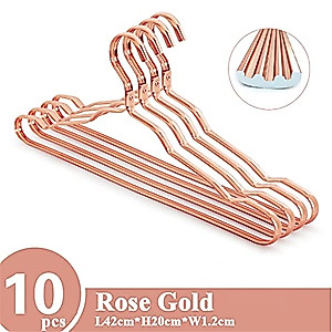 FSYSM Clothes Hangers 10pcs Aluminium Alloy Coat Hangers Anti-Slip Seamless Metal Drying Rack Wardrobe Organizer (Color : B, Size : 10pcs)