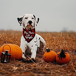 Family Kitchen My Mom is Single Funny Red Plaid Triangle Pet Dog Bandana, Photo Prop Pet Scarf for Pet Owner Lover Gift