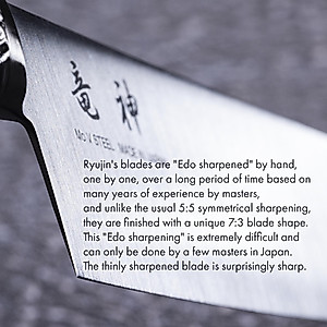 竜神 (RYUJIN) Professional Japanese chef knife Gyutou Knife 210mm [OMOTENASHI Selection 2023 Best Gold Award Winner] Made in Japan Tsubame Sanjo Stainless Steel Integrated Daishin Sangyo [Ryujin Knife]