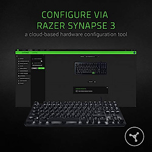 Razer BlackWidow Lite TKL Tenkeyless Mechanical Keyboard : Orange Key Switches - Tactile & Silent - White Individual Key Lighting - Compact Design - Detachable Cable - Classic Black