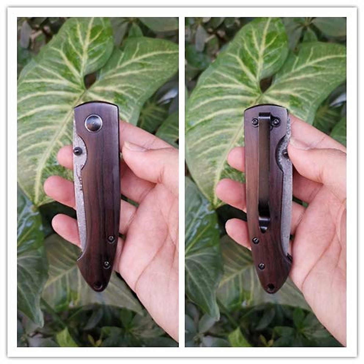 ALBATROSS HGDK005 Black Classic EDC Damascus Folding Pocket Knife, Ebony Wood Handle-Gifts/Collections