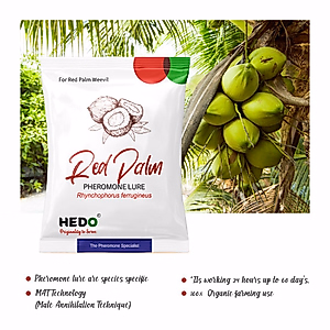 HEDO Red Palm Weevil Bucket Trap with Lure (Rhynchophorus ferrugineus) Pack of 5 to Control Damage in Coconut