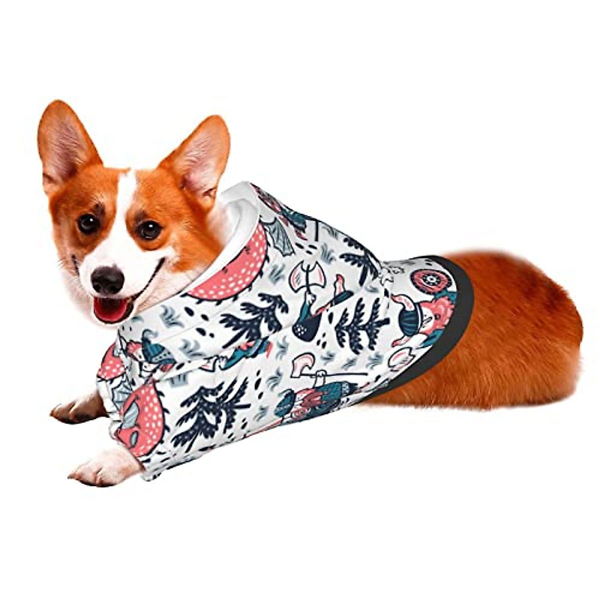 Vikings Dragon Dog Hoodies, Pet Clothes Costumes, Cute Cartoon Pets Wear Hoodie Sweatshirt Outfit for Dogs Cats Outdoor (Large)