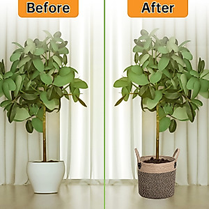 ZOES HOMEWARE 14"x12" Natural Jute Rope Woven Storage Basket with Handles for Plant, Blankets,Toys,Clothes,Shoes - Living Room Home Decor,Multifunctional Basket for Organizer,Picnic,Artificial Tree